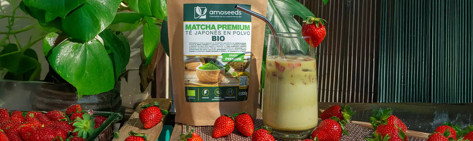 Receta de Iced Matcha Latte Bio con fresas – Amoseeds España
